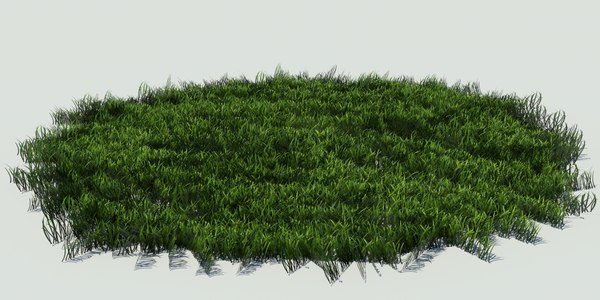 3d grass lawn model