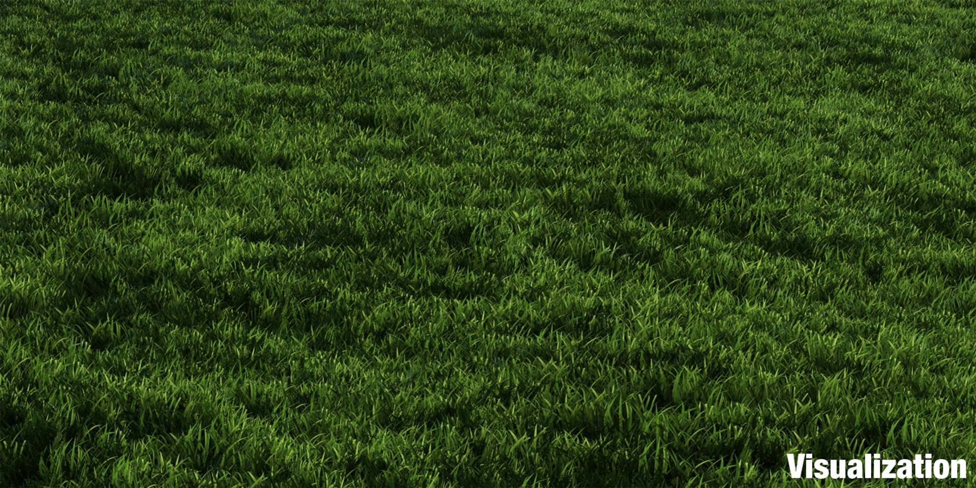 3d Grass Lawn Model