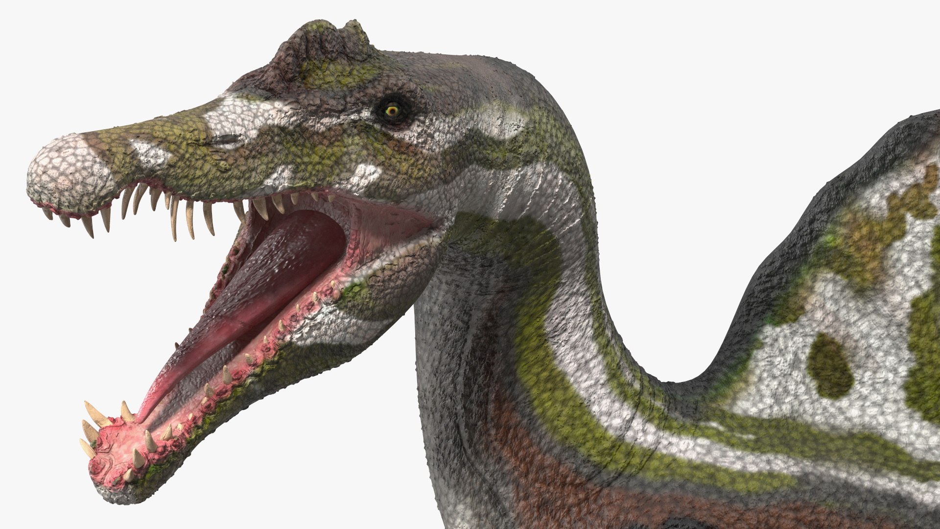 3D Prehistoric Creature Spinosaurus Green Rigged Model - TurboSquid 2377468