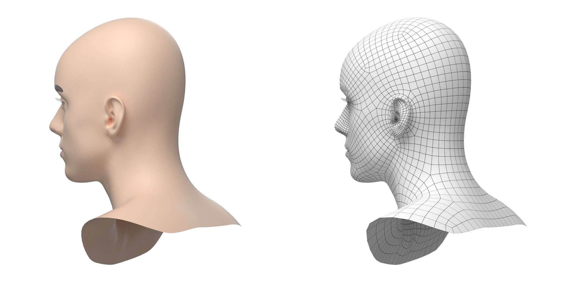 Natural Male Head 03 Base Mesh 3D Model - TurboSquid 2221947