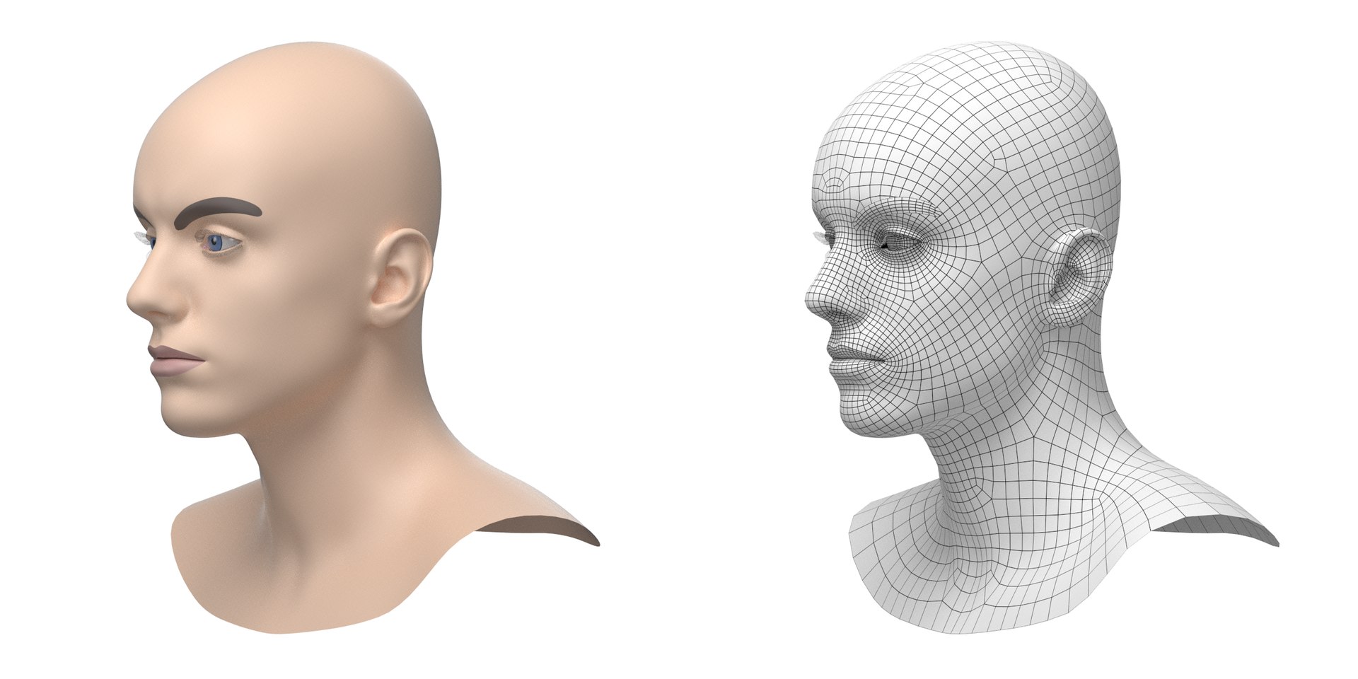 Natural Male Head 03 Base Mesh 3D Model - TurboSquid 2221947