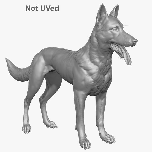 belgian malinois shepherd dog 3d model