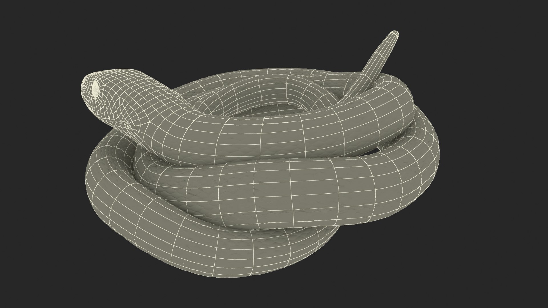 Ringed Snake Brown Coiled 3D Model - TurboSquid 2250697