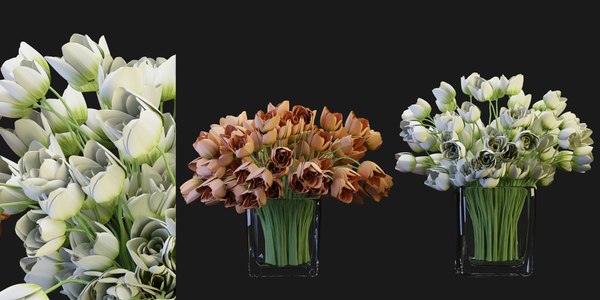 Cosmos Flower 3D Models for Download | TurboSquid