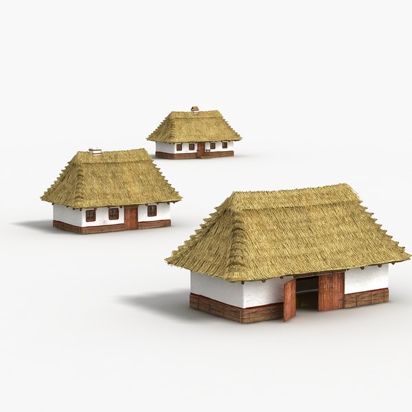 3d village houses model