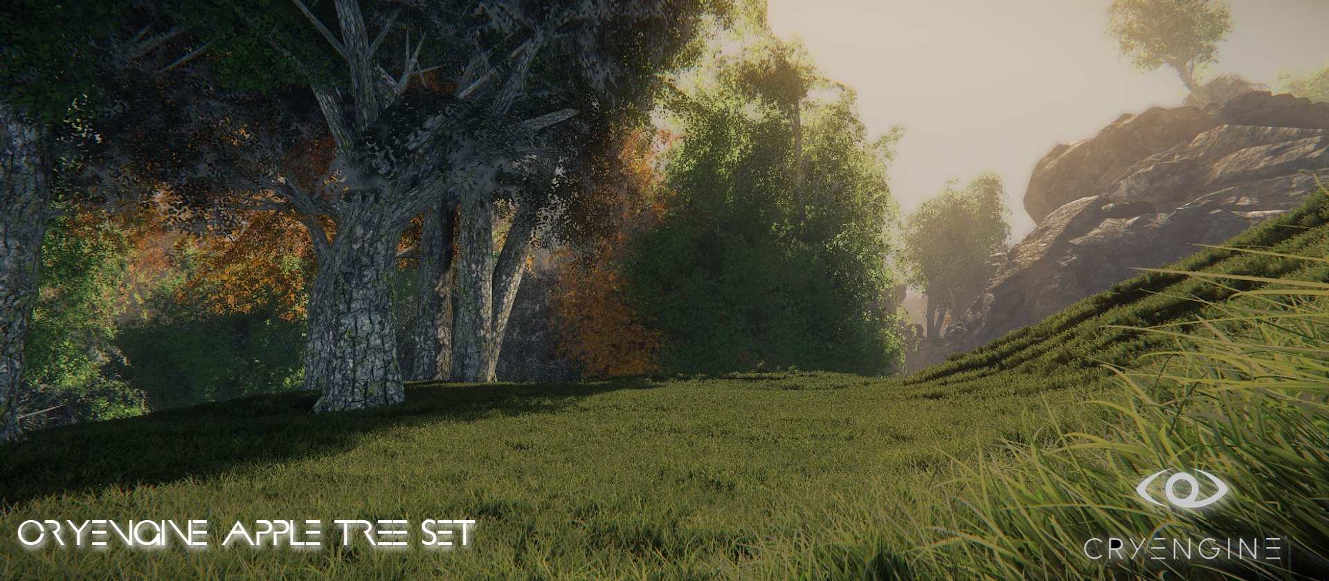 3ds Realistic Ash Tree Set