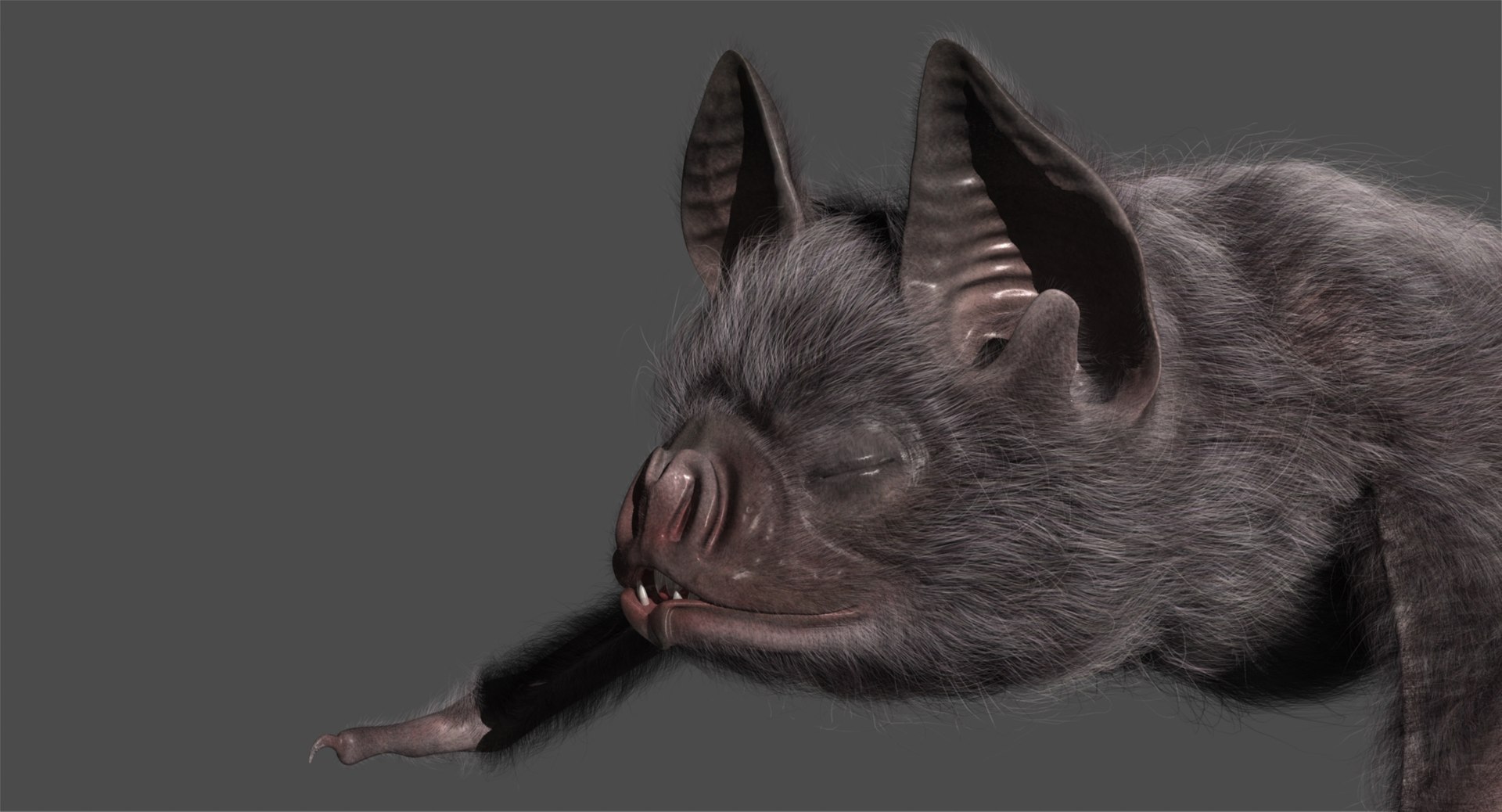 vampire bat 3d model