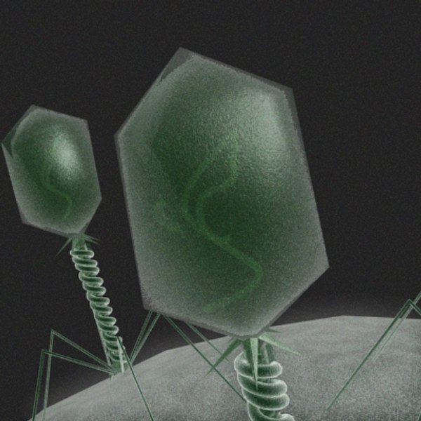 3D 3ds Max bacteriophage virus disease