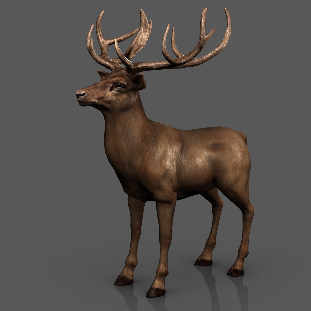 3d deer adapted rigging model