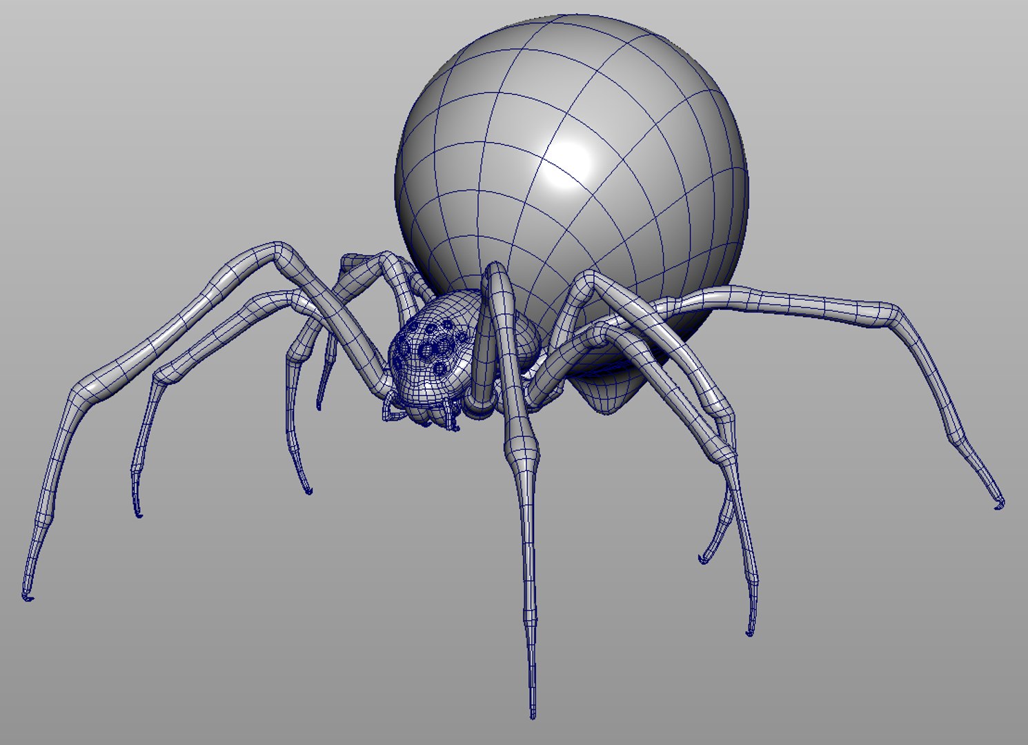 Maya Spider Black Widow