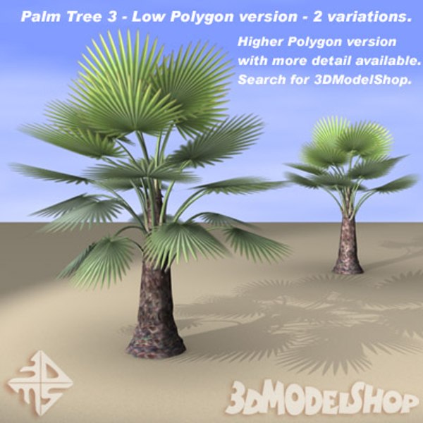 modelo 3d Palmera 03, Low Poly - TurboSquid 262180
