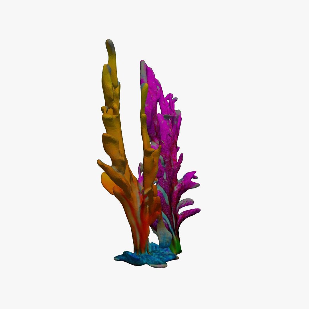 Colorful Coral Reef 3D Model - TurboSquid 2221419