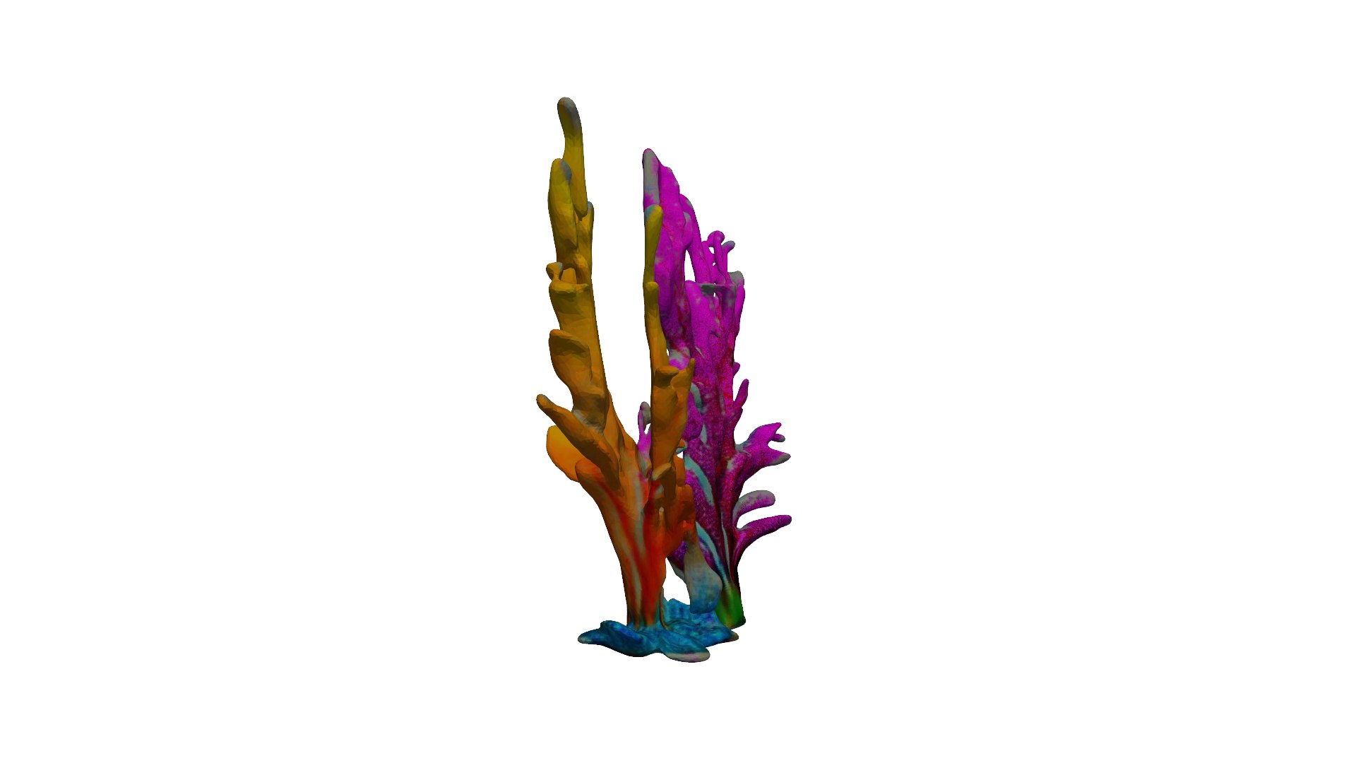 Colorful Coral Reef 3D Model - TurboSquid 2221419