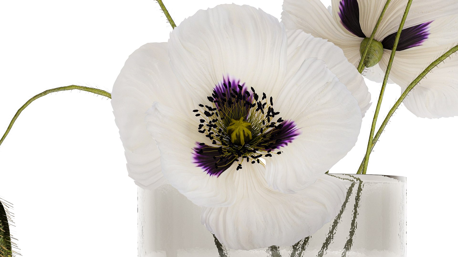 Bouquet Of White Wild Flowers In A Vase Poppy 455 Model - TurboSquid ...