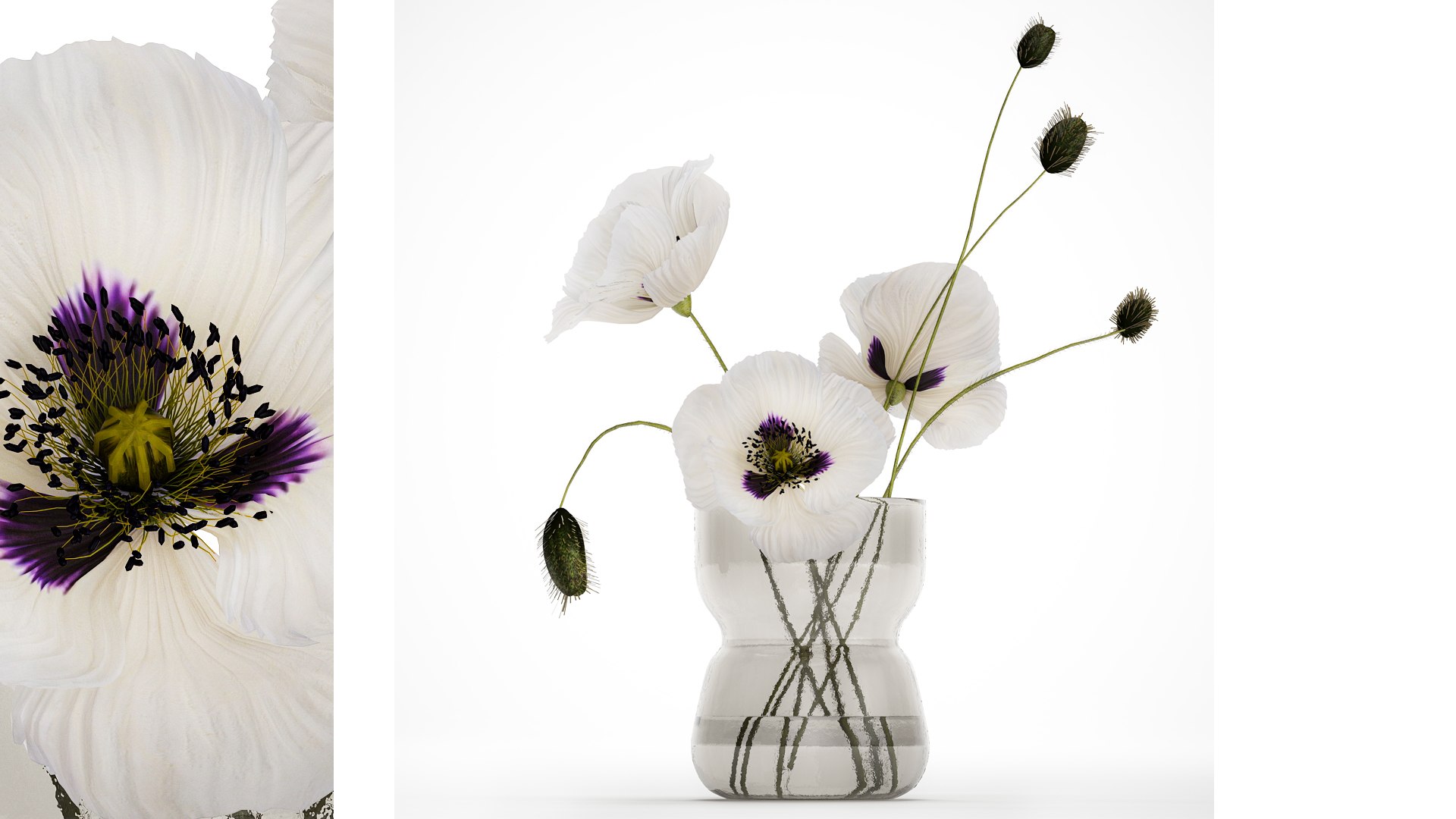 Bouquet Of White Wild Flowers In A Vase Poppy 455 Model - TurboSquid ...