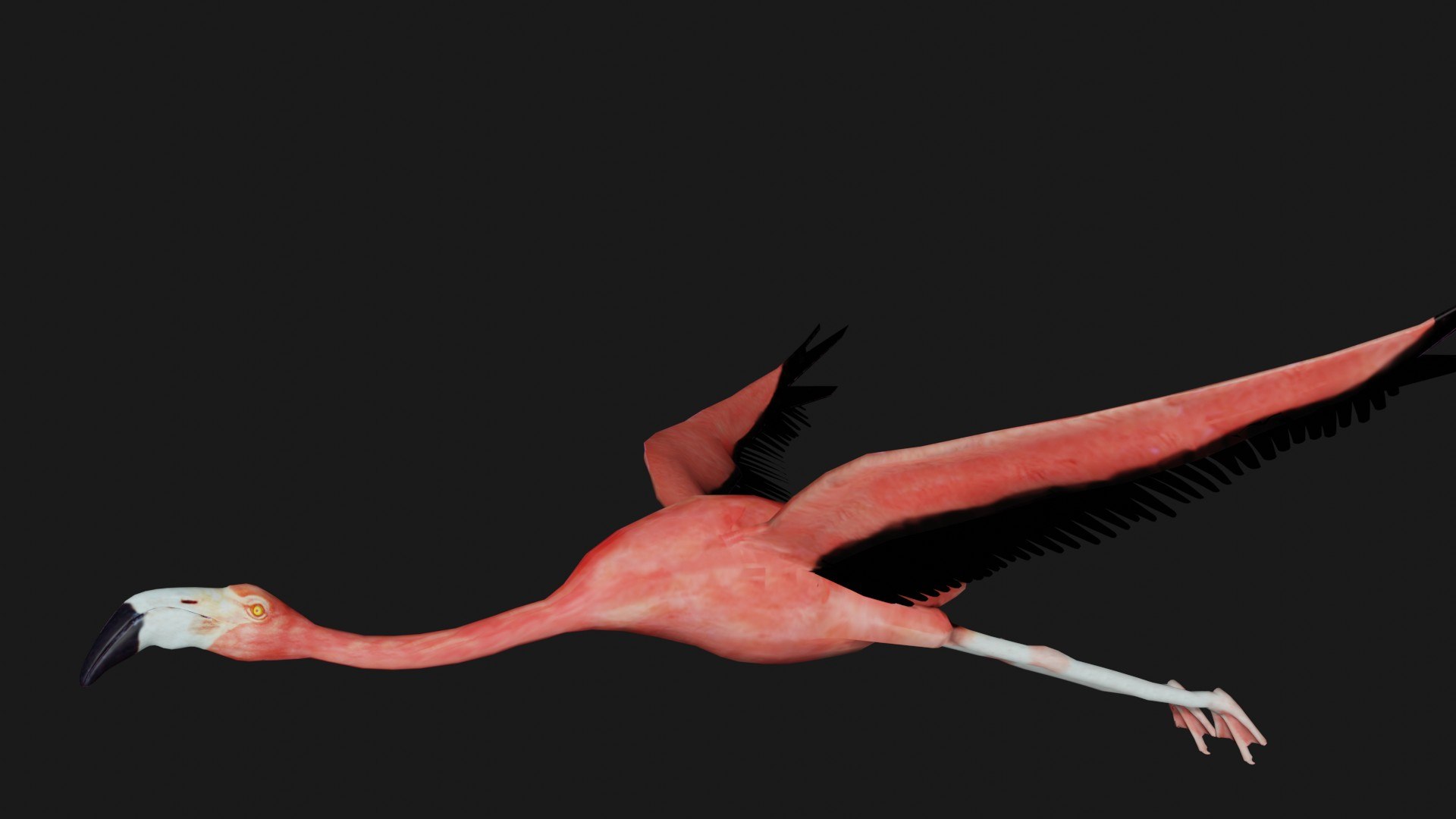 3D Flamingo Rigged - TurboSquid 1658985