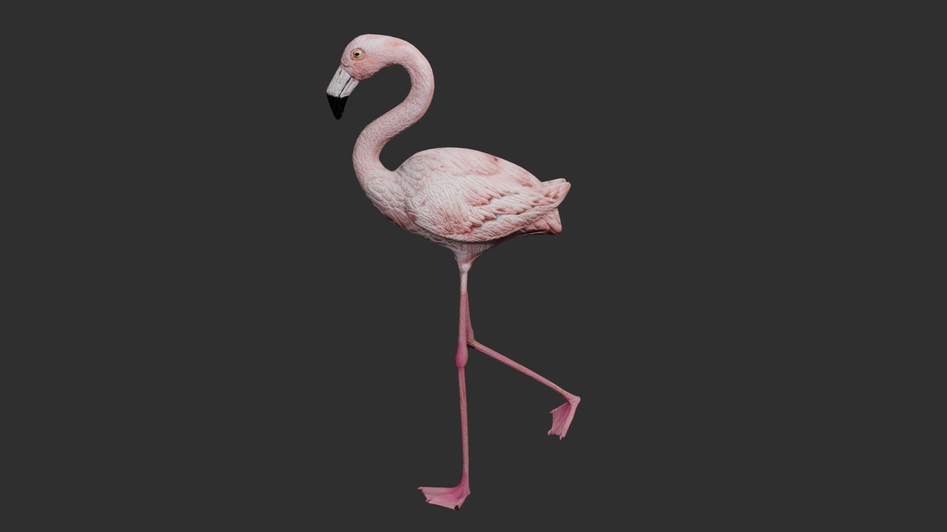 3D flamingo rigged - TurboSquid 1658985