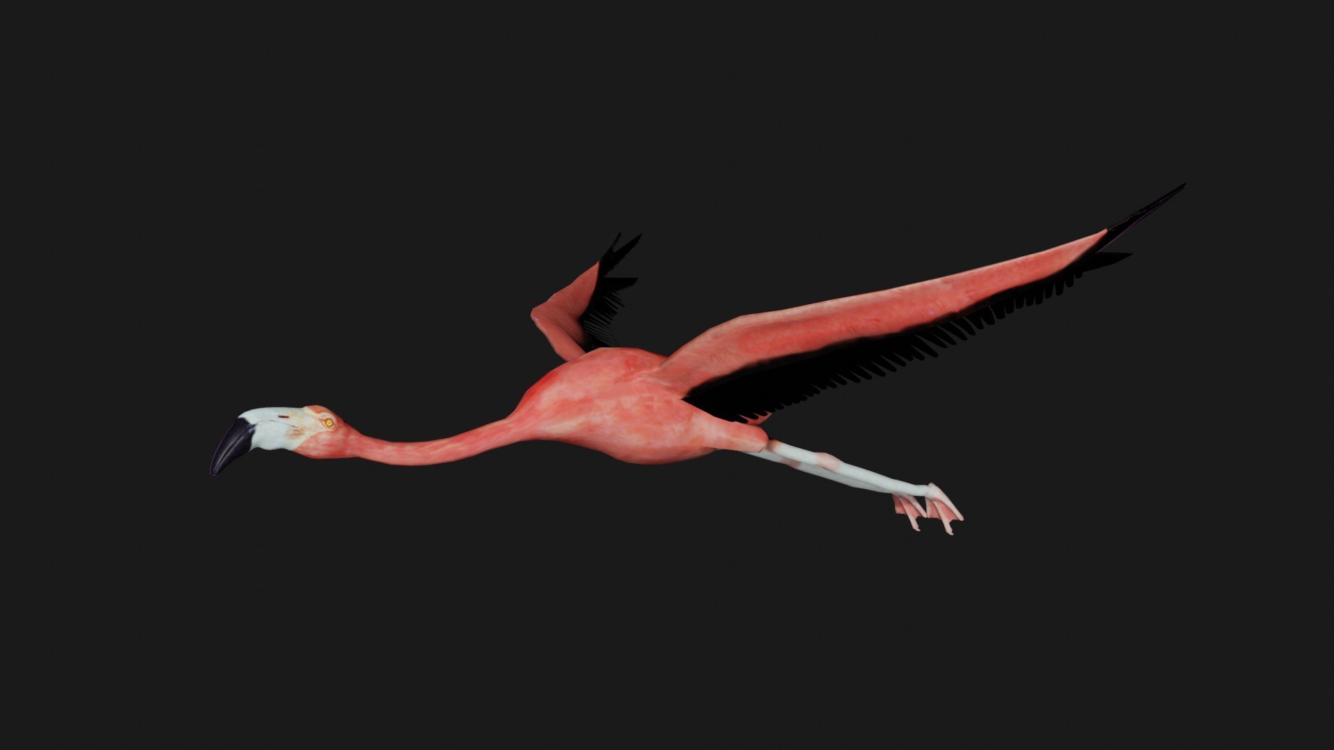 3D flamingo rigged - TurboSquid 1658985