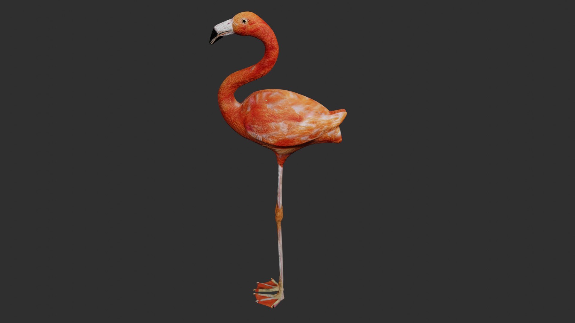 3D flamingo rigged - TurboSquid 1658985