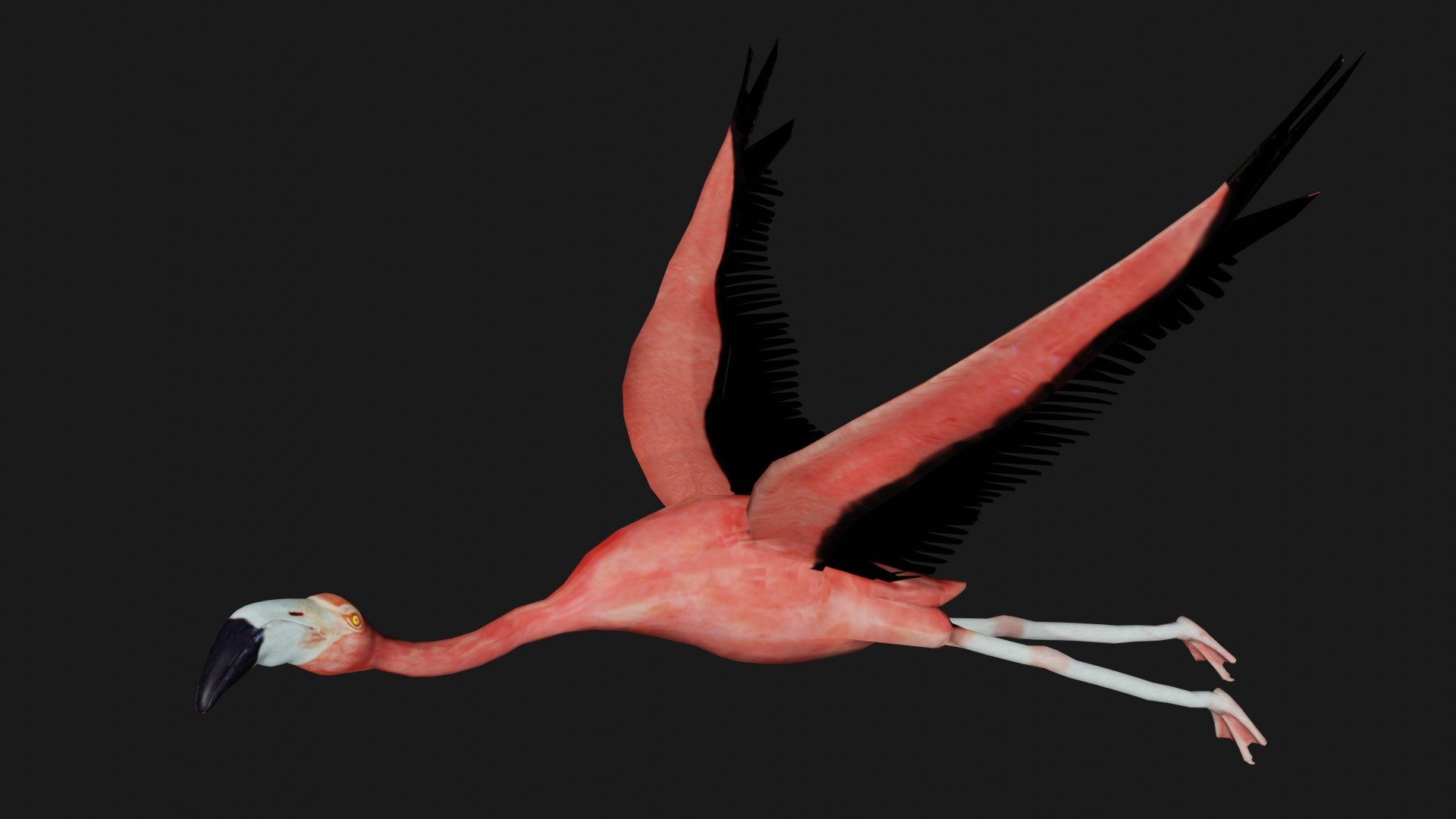 3D Flamingo Rigged - TurboSquid 1658985