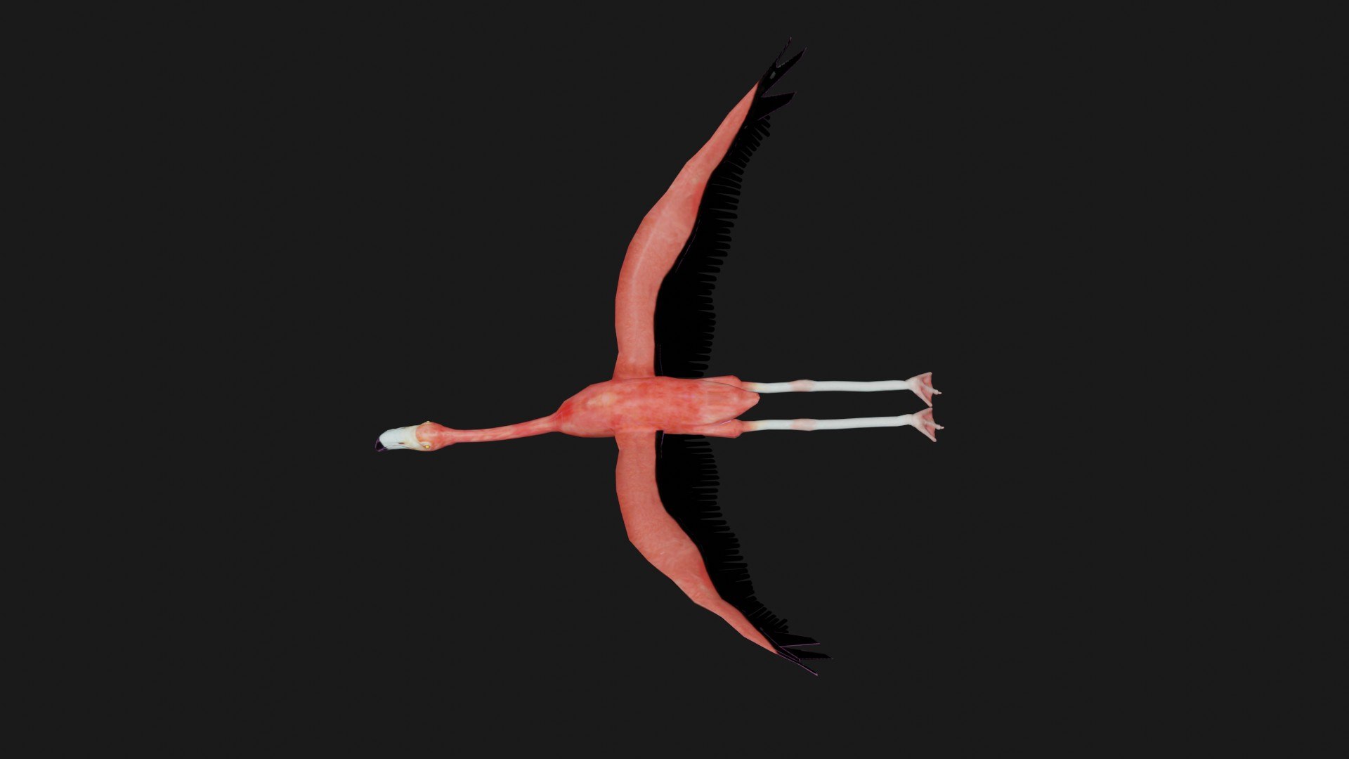 3D flamingo rigged - TurboSquid 1658985