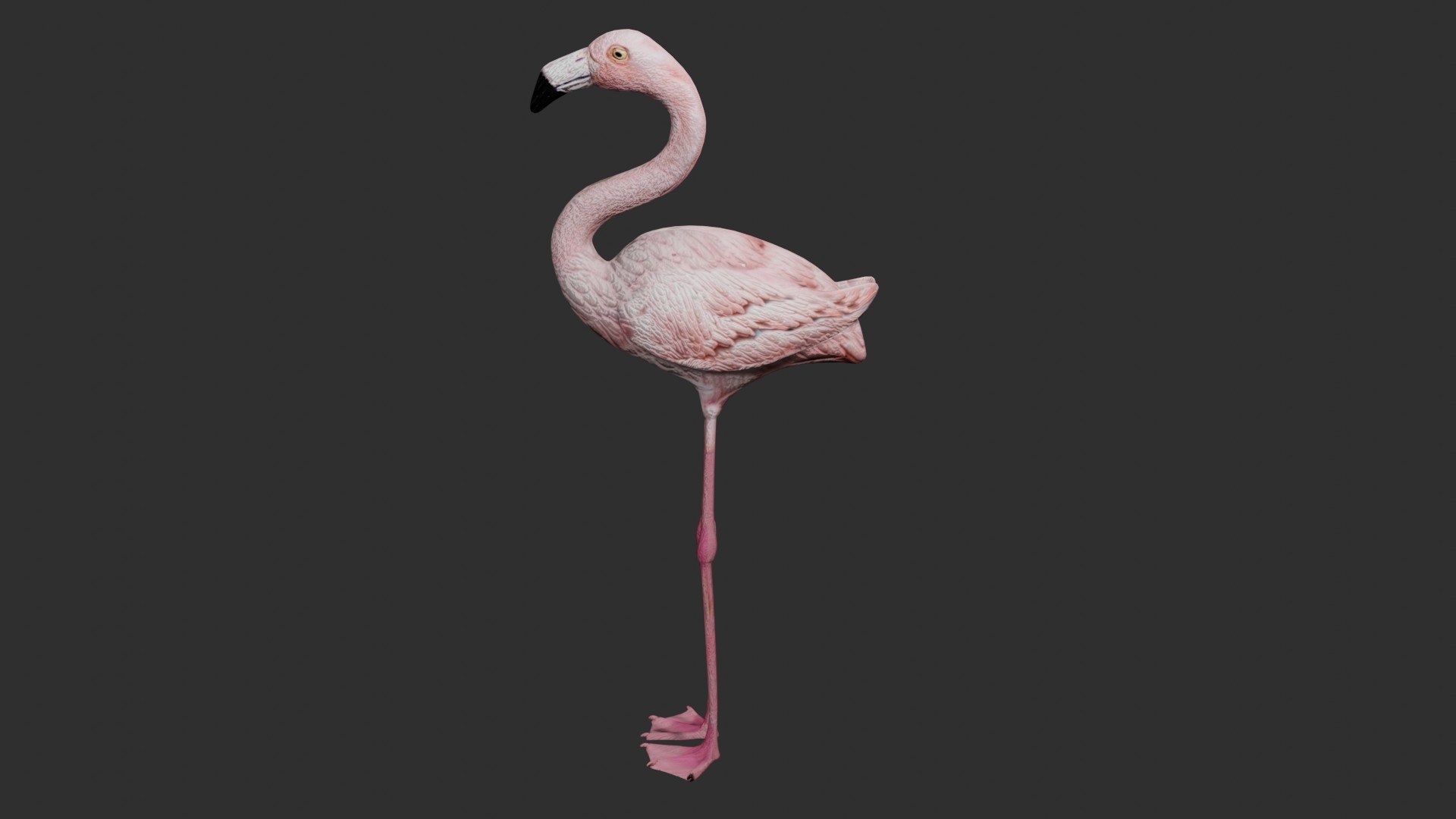 3D flamingo rigged - TurboSquid 1658985