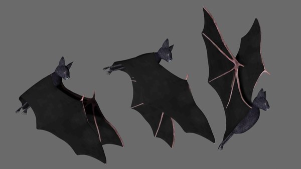 3D rigged bat - TurboSquid 1751450