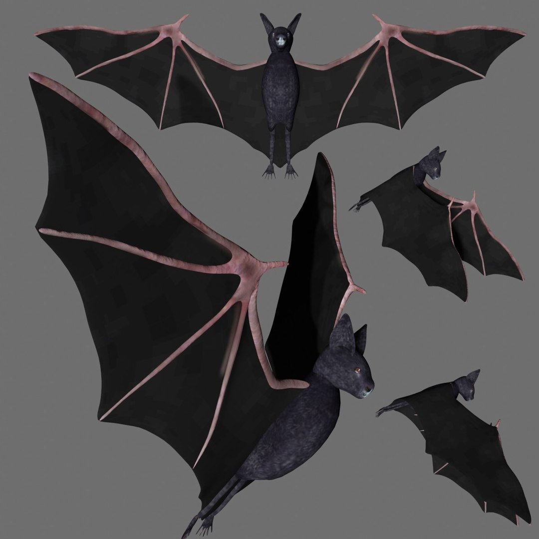 3D rigged bat - TurboSquid 1751450