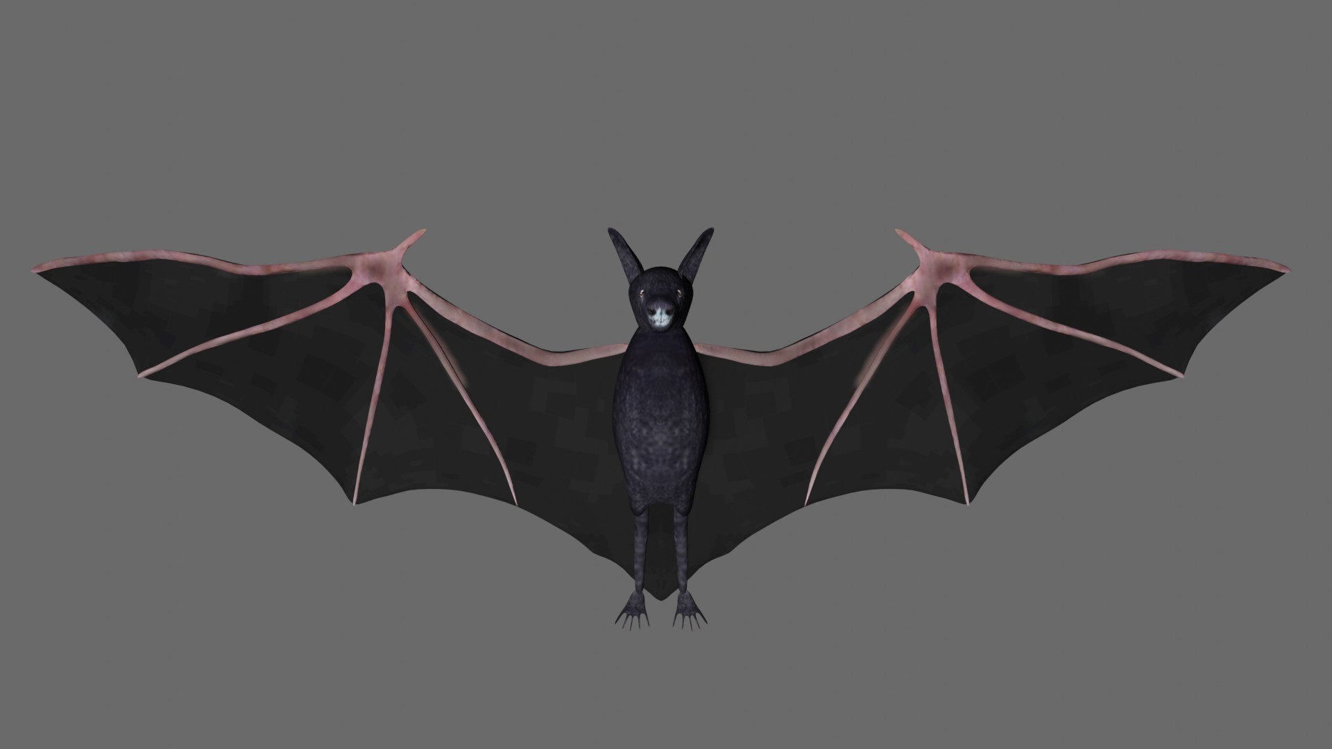 3D Rigged Bat - TurboSquid 1751450