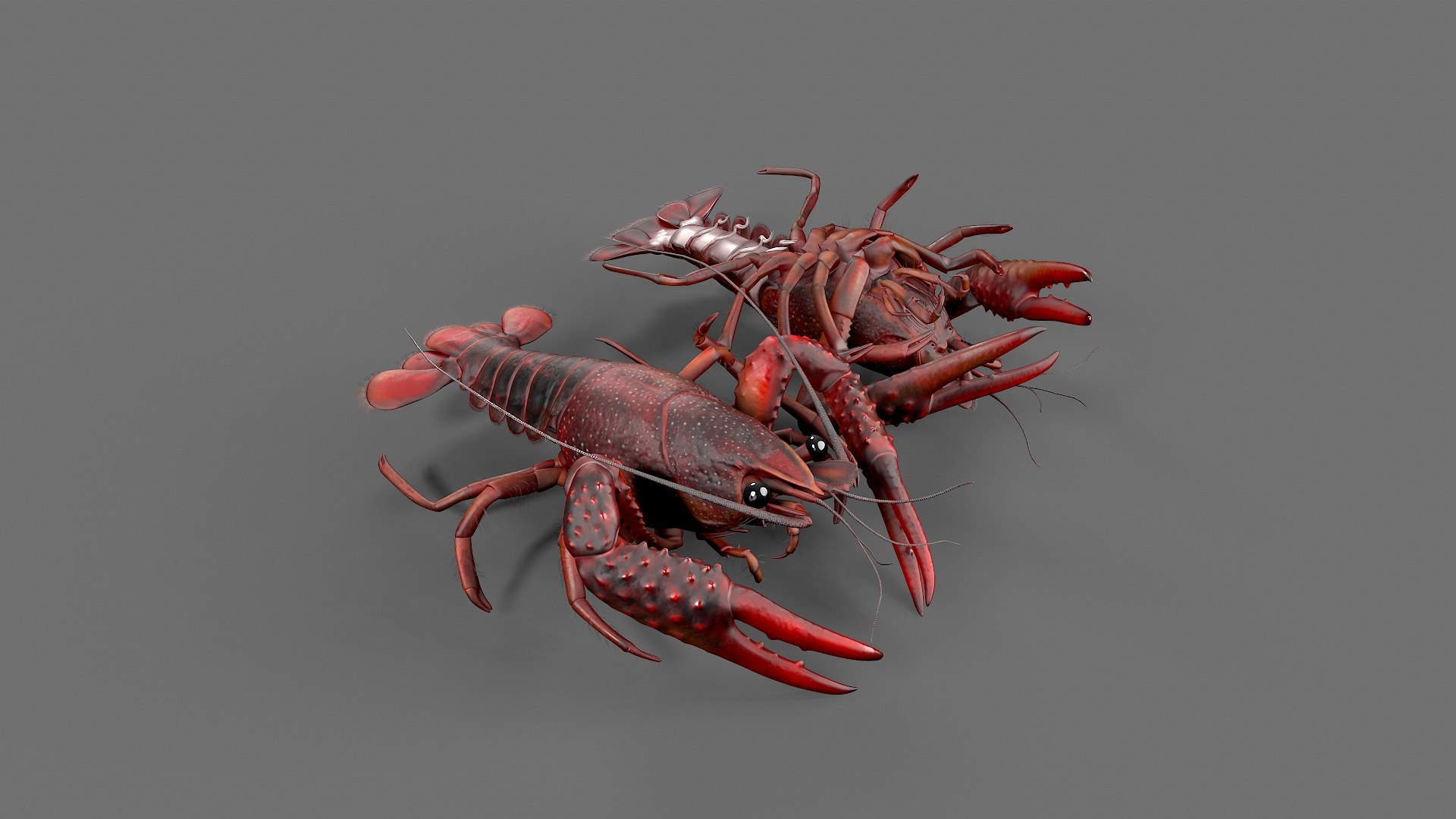 Lobster Rigged For 3Dmax 3D Model - TurboSquid 2314290