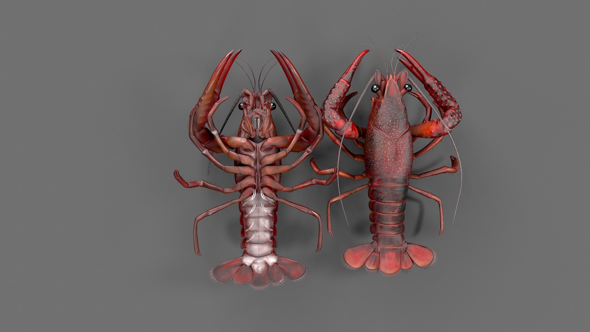 Lobster Rigged For 3Dmax 3D Model - TurboSquid 2314290
