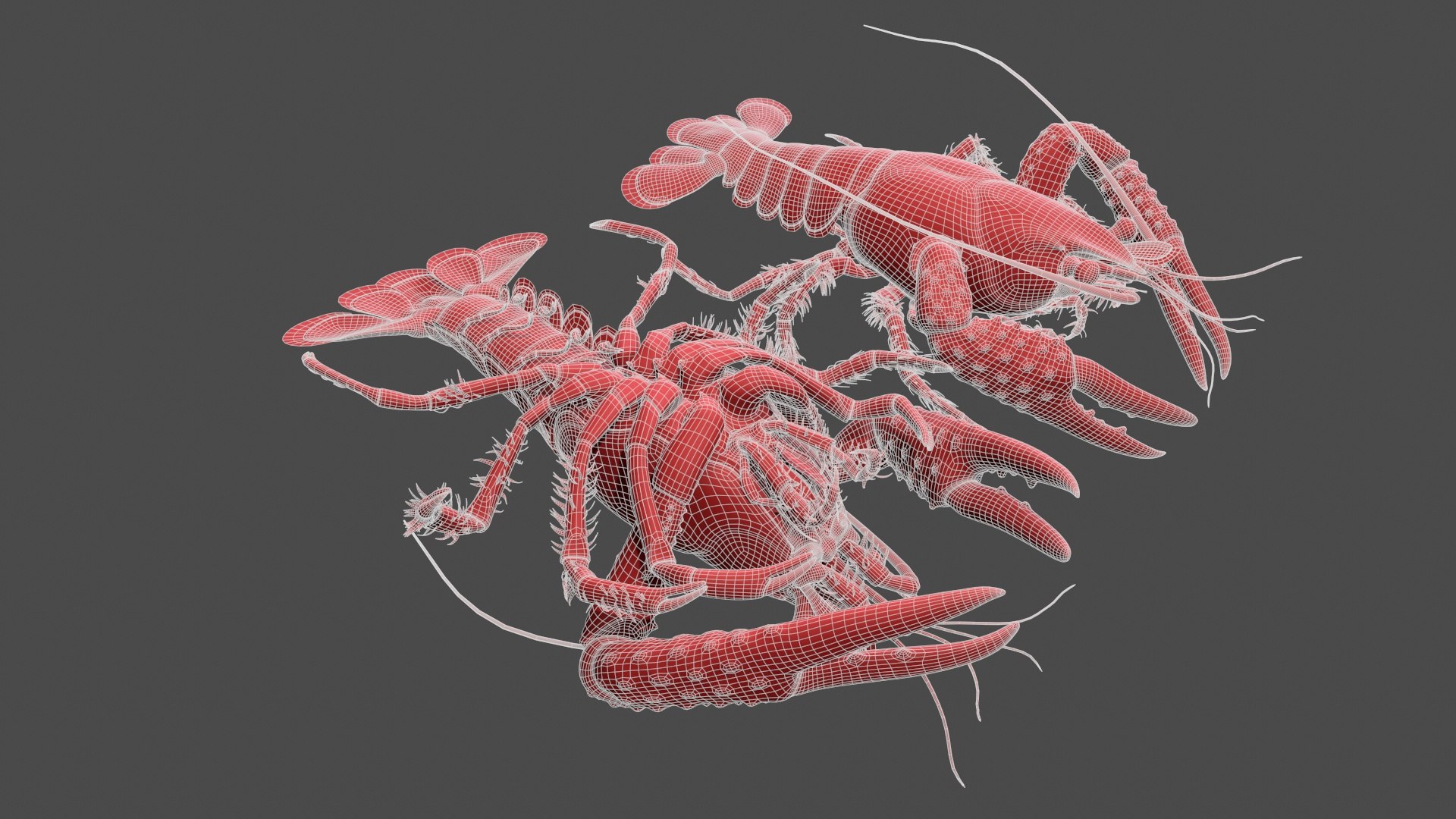 Lobster Rigged For 3Dmax 3D Model - TurboSquid 2314290