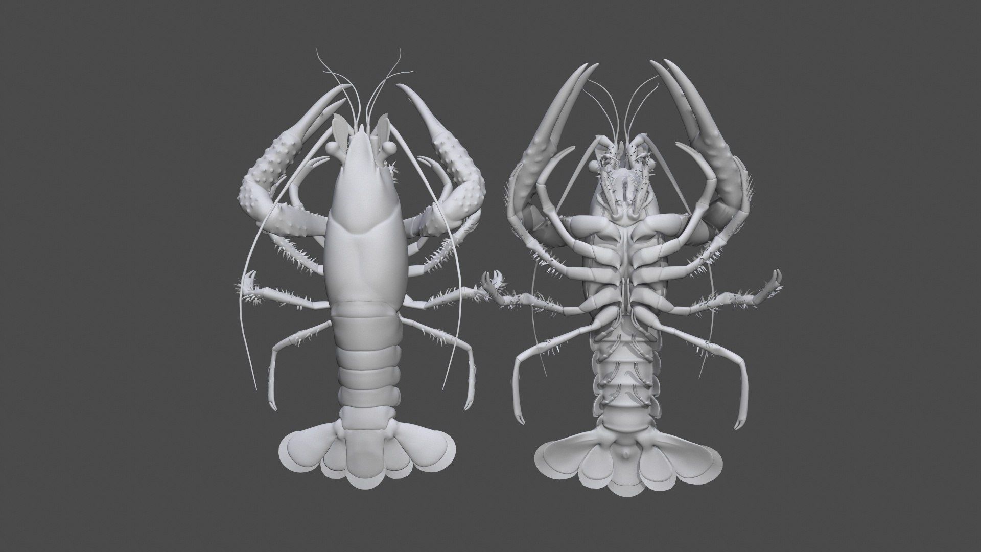 Lobster Rigged For 3Dmax 3D Model - TurboSquid 2314290