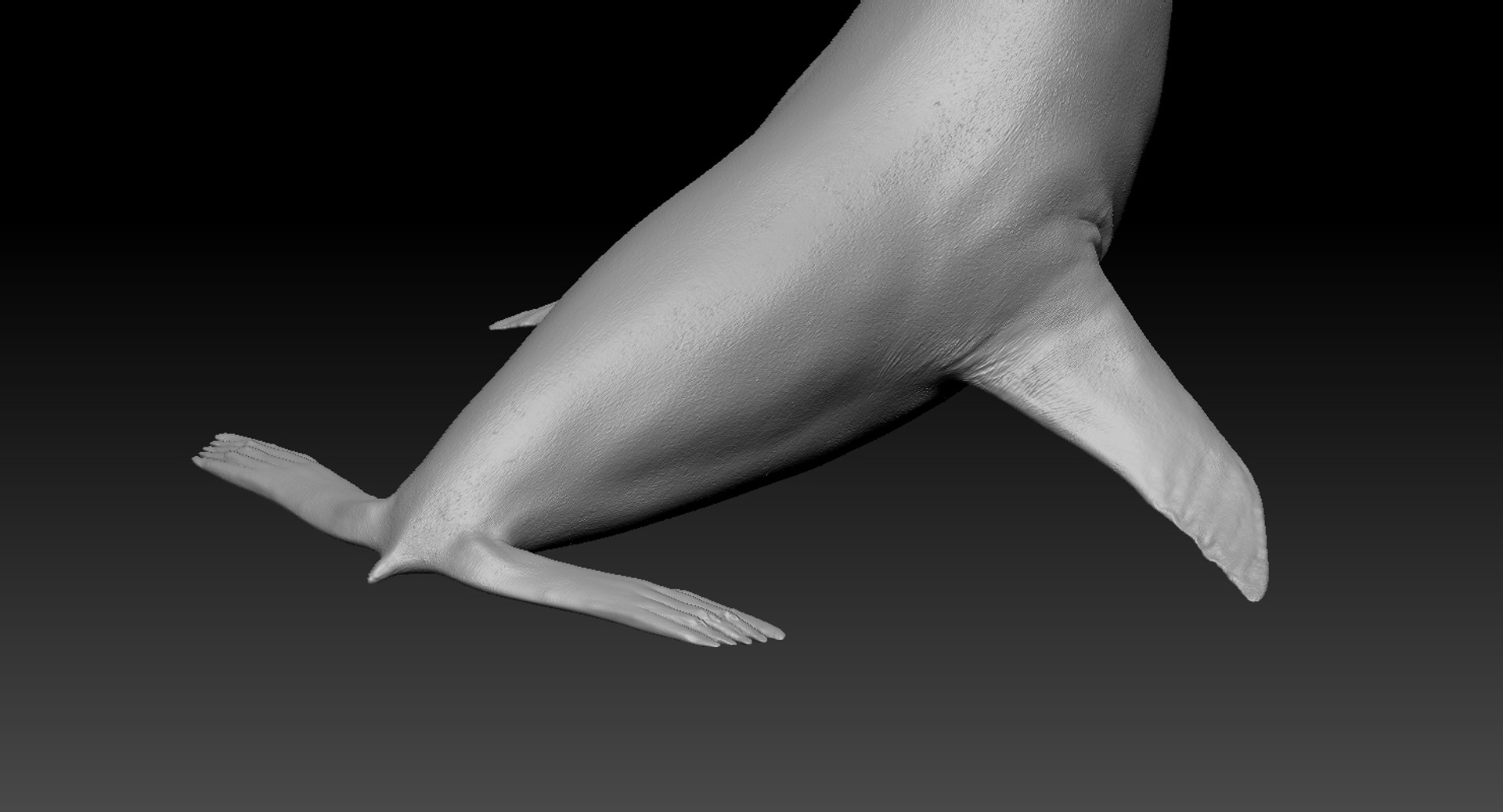 3D rigged ear - TurboSquid 1328984