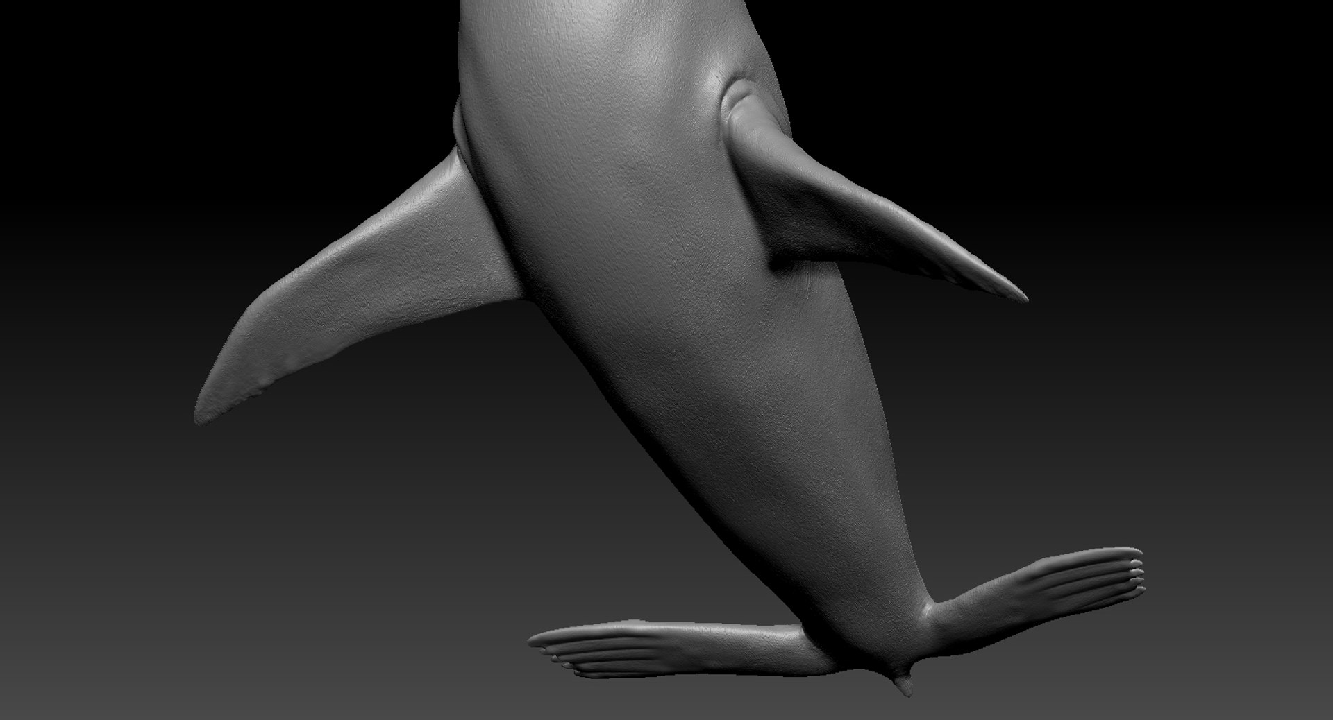 3D rigged ear - TurboSquid 1328984