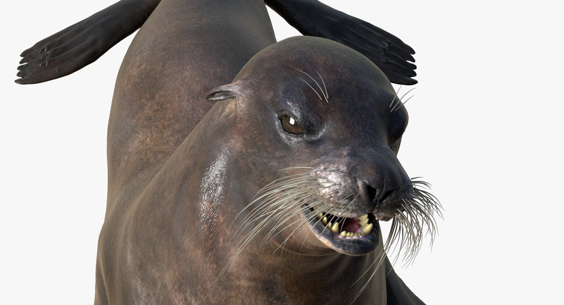 3D Rigged Ear - TurboSquid 1328984