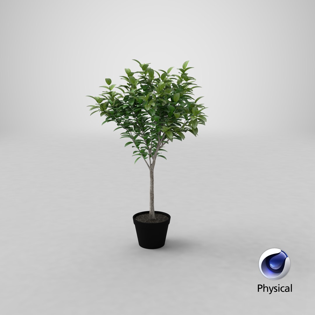 3D small tree pot model - TurboSquid 1377240