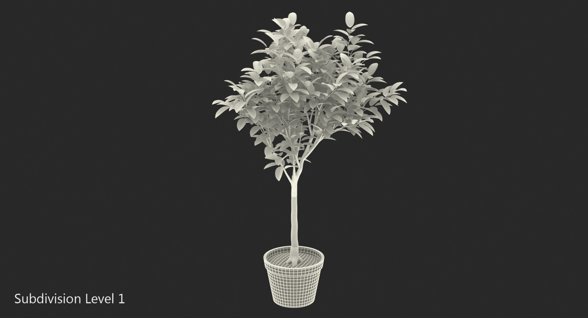 3D small tree pot model - TurboSquid 1377240