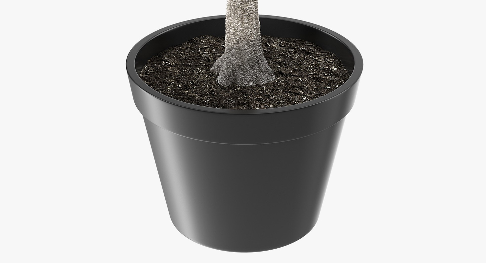 3D small tree pot model - TurboSquid 1377240