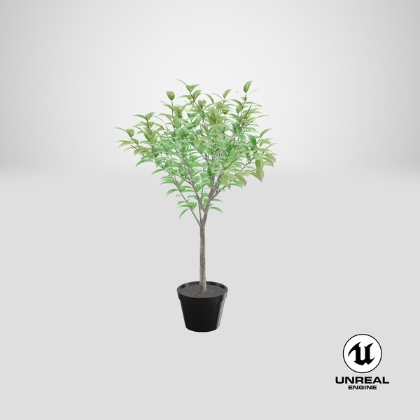 3D small tree pot model - TurboSquid 1377240