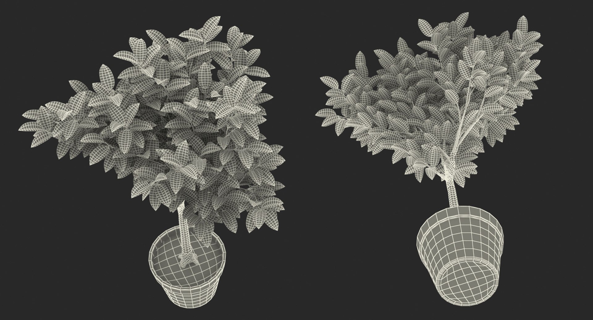 3D small tree pot model - TurboSquid 1377240