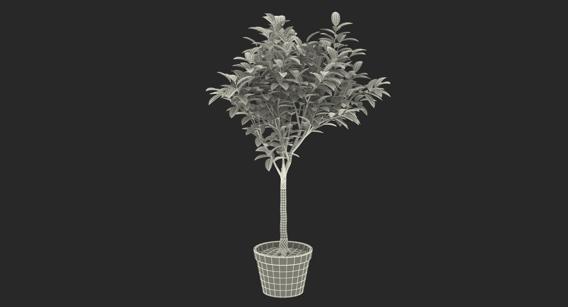 3D Small Tree Pot Model - TurboSquid 1377240