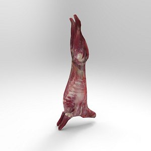 3d Meat Model