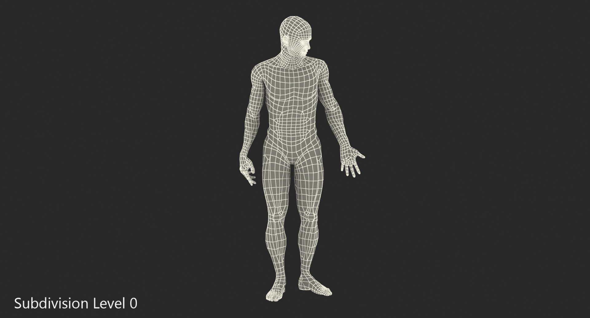 Anatomy Male Muscular Rigged Model - TurboSquid 1236263
