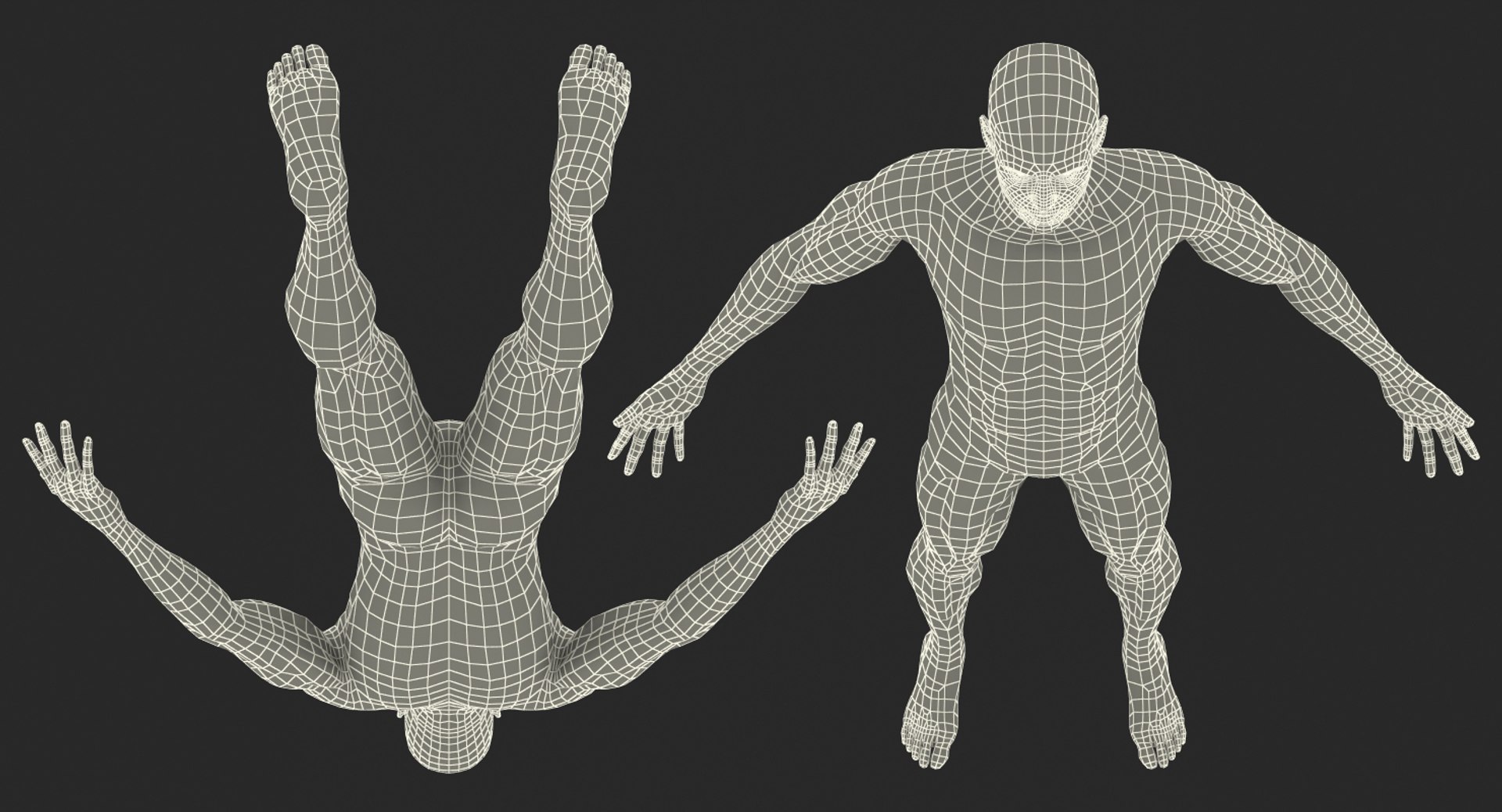 Anatomy Male Muscular Rigged Model - TurboSquid 1236263