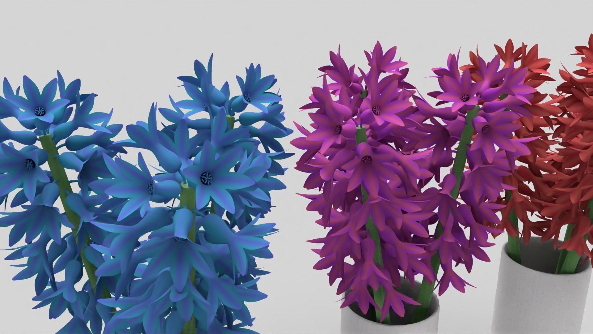 Flower Hyacinth 3D Model - TurboSquid 1618604