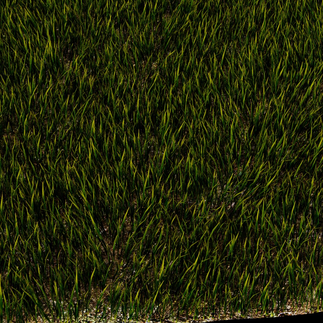 3D Grass Lawn Plant - TurboSquid 1593830