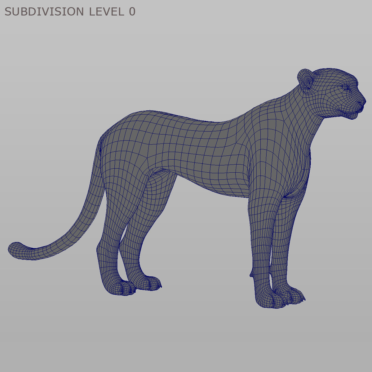 cheetah fur animation 3d ma