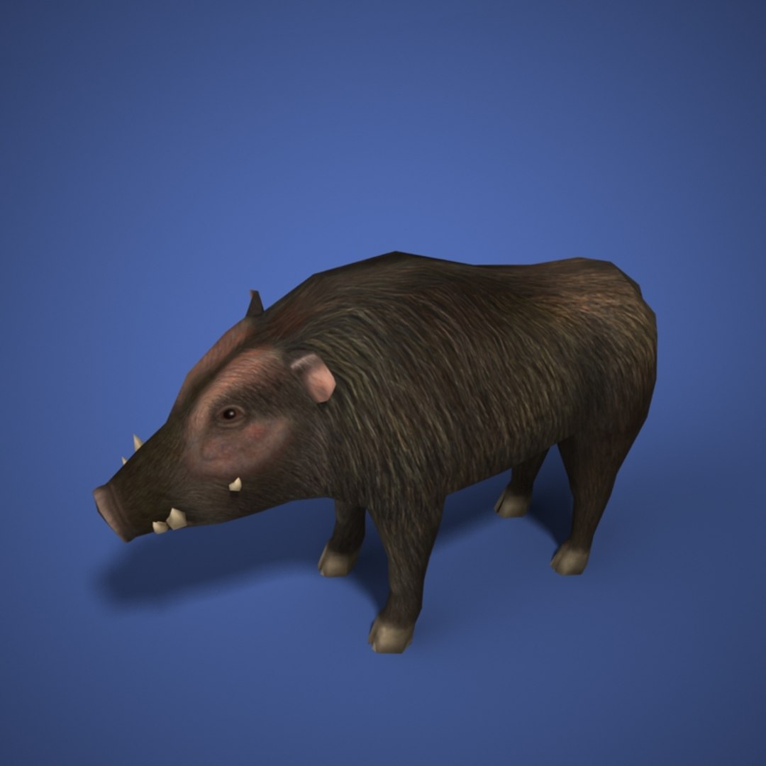 Real Time Animals Pack 3d Model