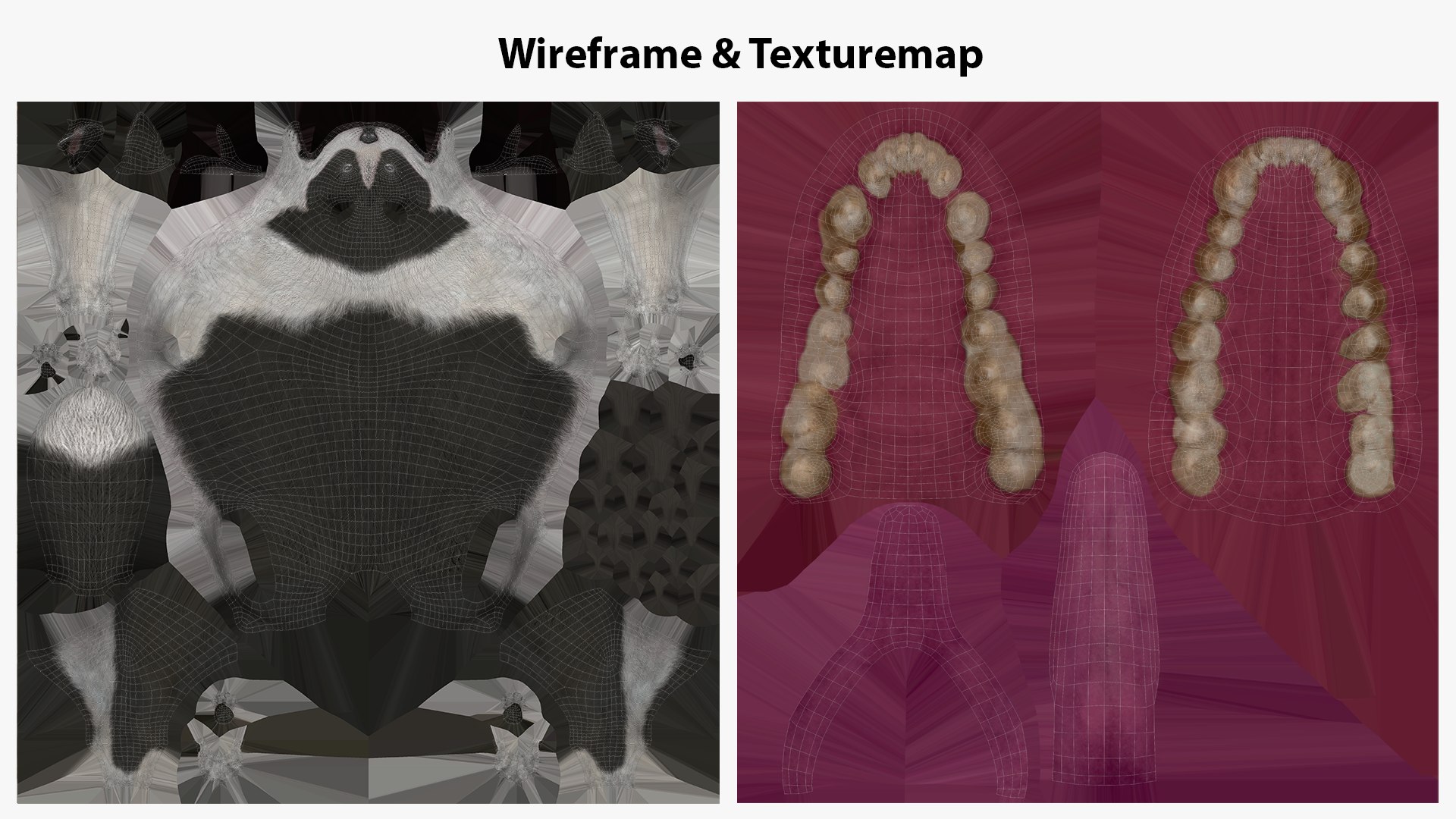 3D Model Border Collie - TurboSquid 2502483